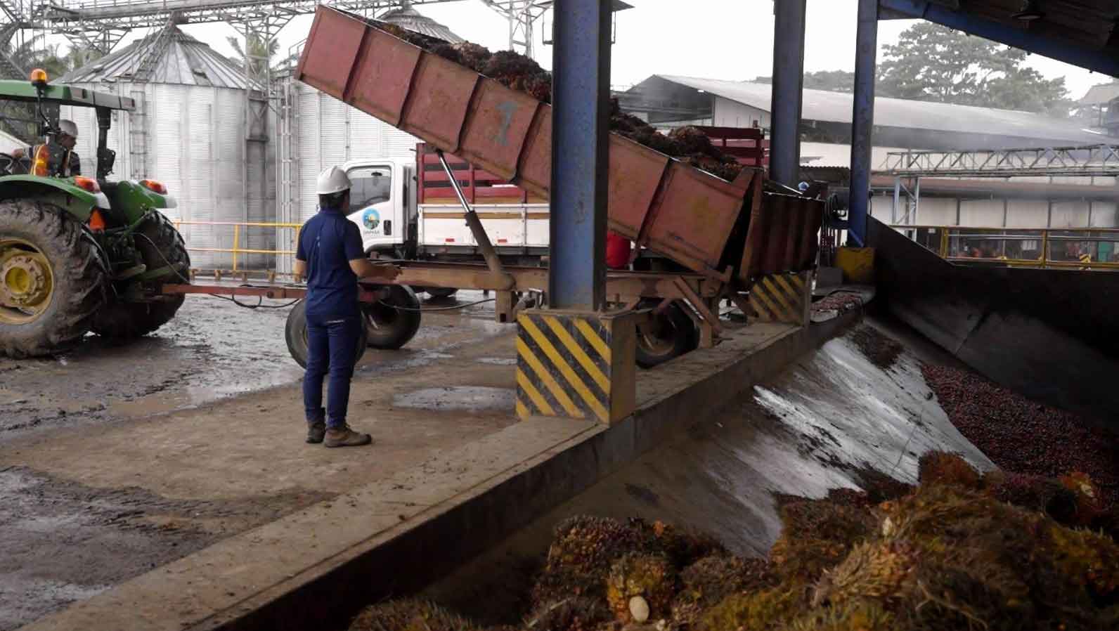 Grupo Numar impulsa el desarrollo económico local de la industria del ...