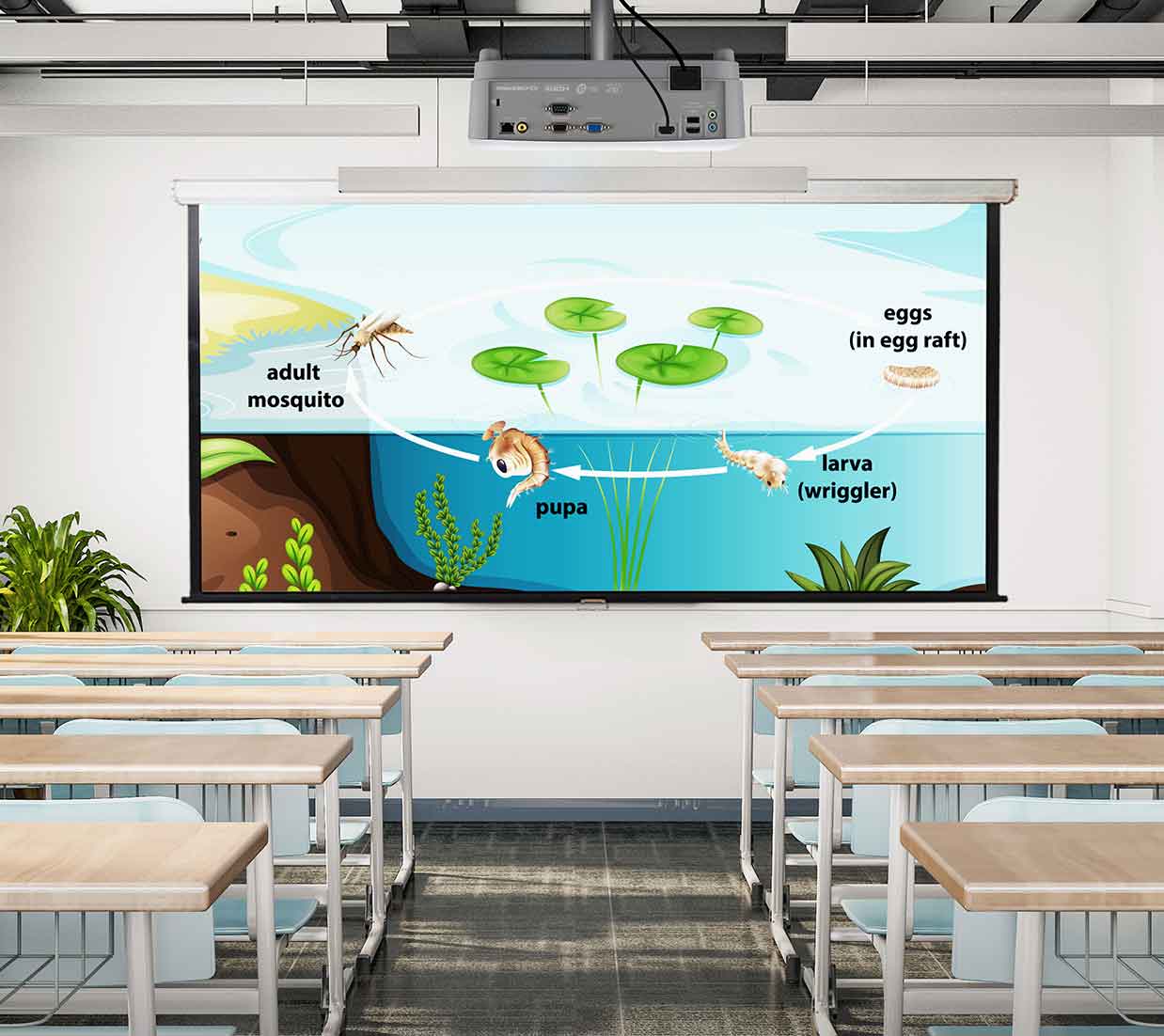 ViewSonic lanza proyector versátil para el mercado educativo - Tico Urbano